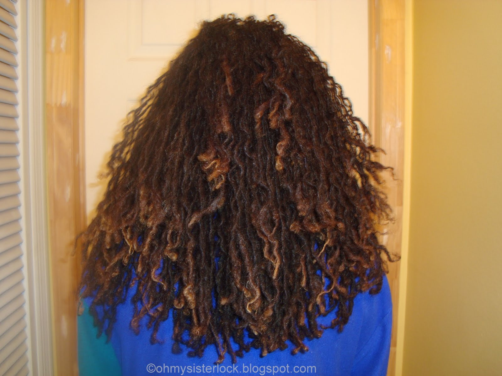 Oh My! Sisterlocks: My locks are growing!
