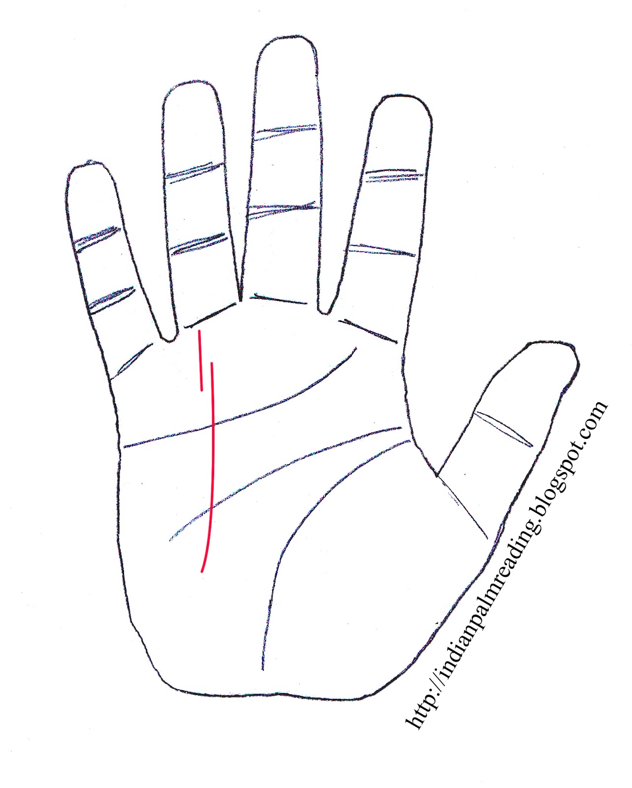 Break In Sun Line On Hand In Palmistry ~ INDIAN PALMISTRY | PALM ...