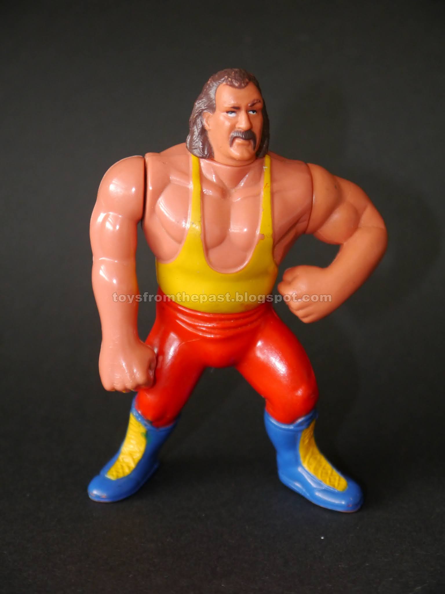 Toys from the Past: #667 SIMBA/ WENTOYS – WRESTLING CHAMPS (1993)