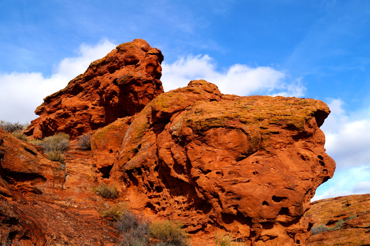 The Sunny Raw Kitchen: Walking in Beauty in the Red Cliffs Desert Reserve