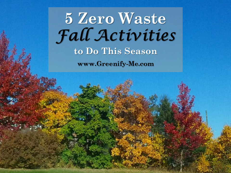 5 Zero Waste Fall Activities to Do This Season - Greenify Me