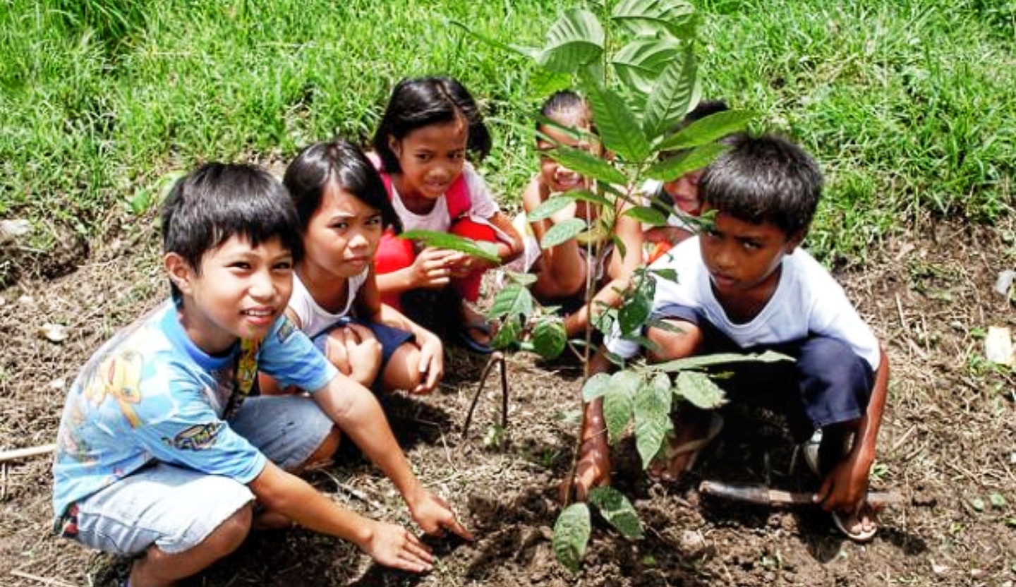 Filipinos Require To Plant Trees As Per Presidential Decree ~ PINOY FORMOSA