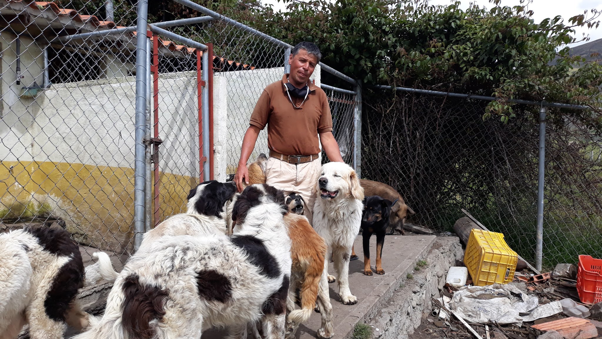 Mérida cuenta con criadero del perro Mucuchicero - Reporteros de Mérida