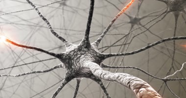 ΛΟΙΜΩΞΗ / INFECTION: ΝΟΣΟΣ PARKINSON ΚΑΙ ΜΙΚΡΟΒΙΩΜΑ ΤΟΥ ΕΝΤΕΡΟΥ