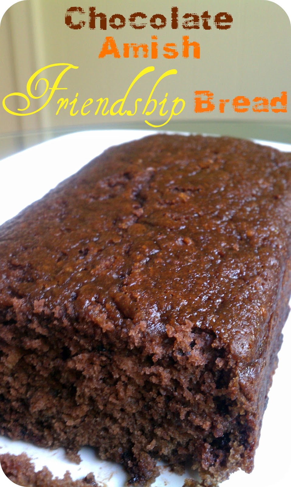 Life's Simple Measures: Chocolate Amish Friendship Bread