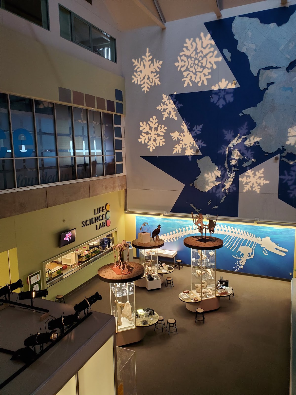 Play St. Louis: St. Louis Science Center, St. Louis City