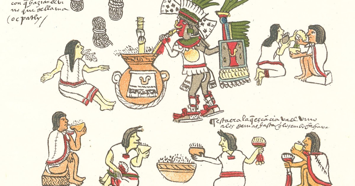 La bebida de los Dioses: Historia