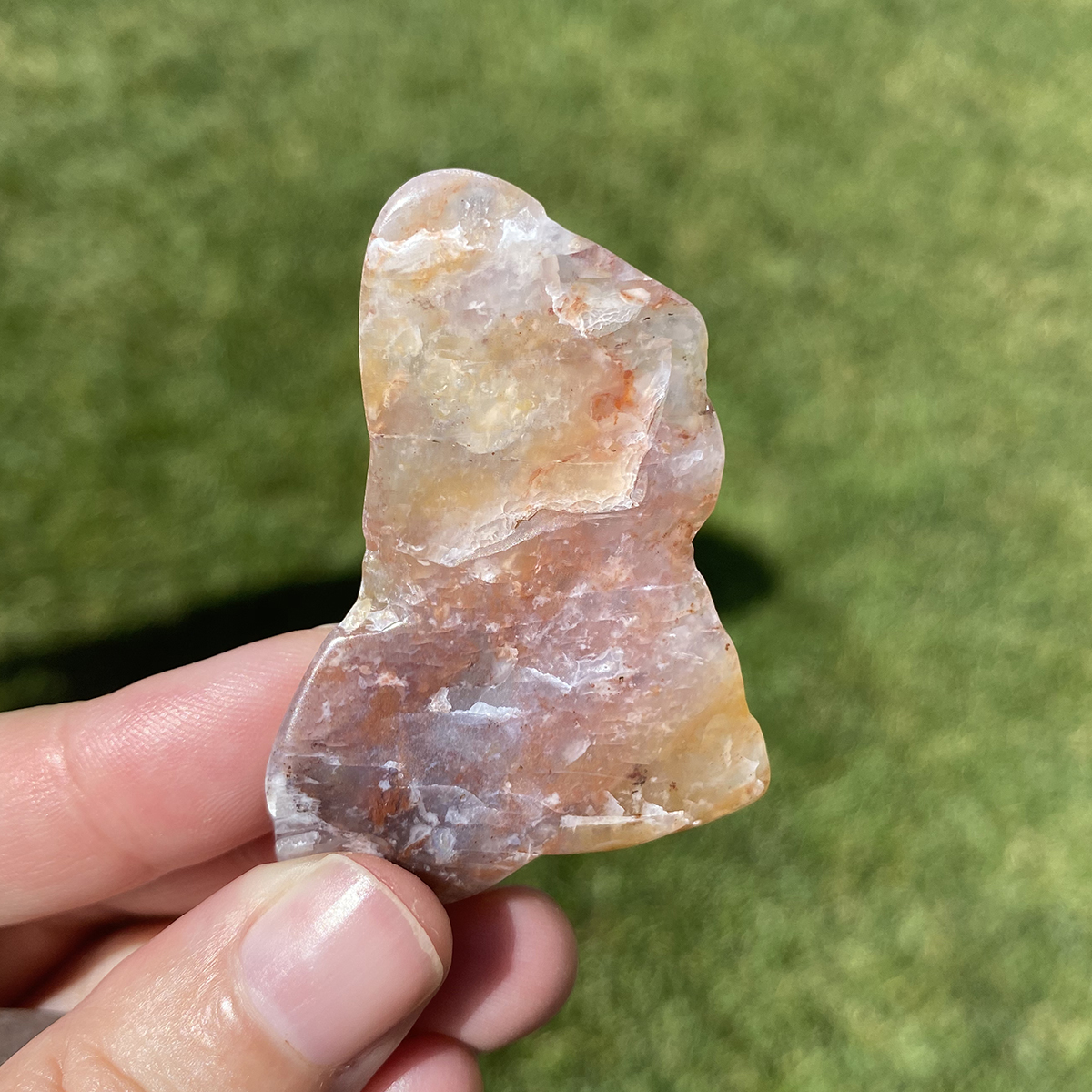 A school of fish: 2020