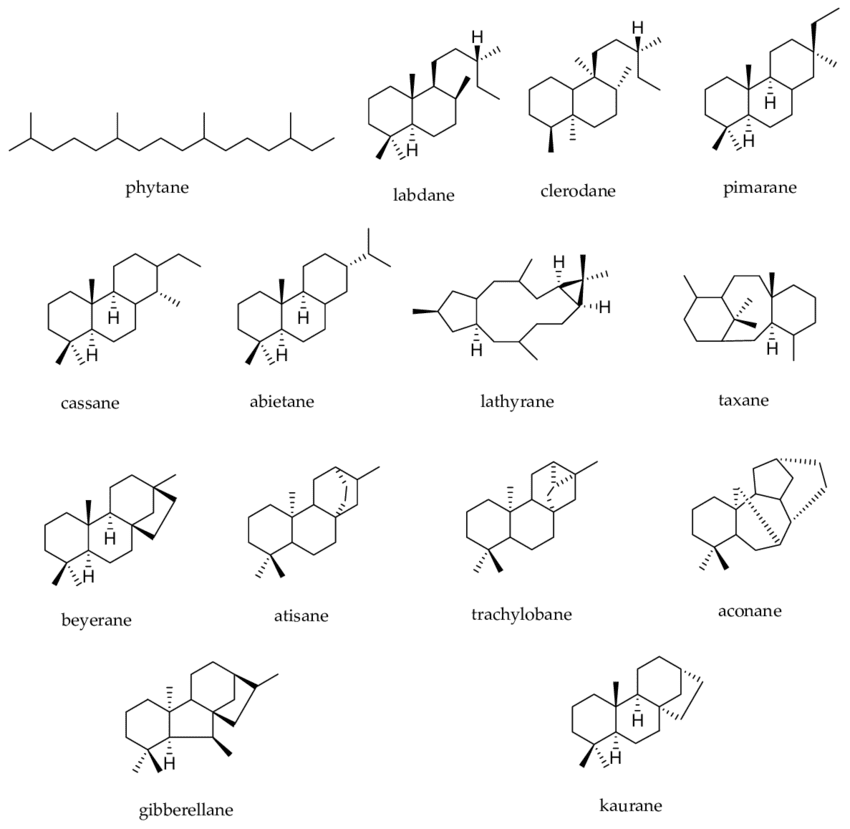 Keragaman dan Keunikan Struktur Terpenoid - E-Chemistry