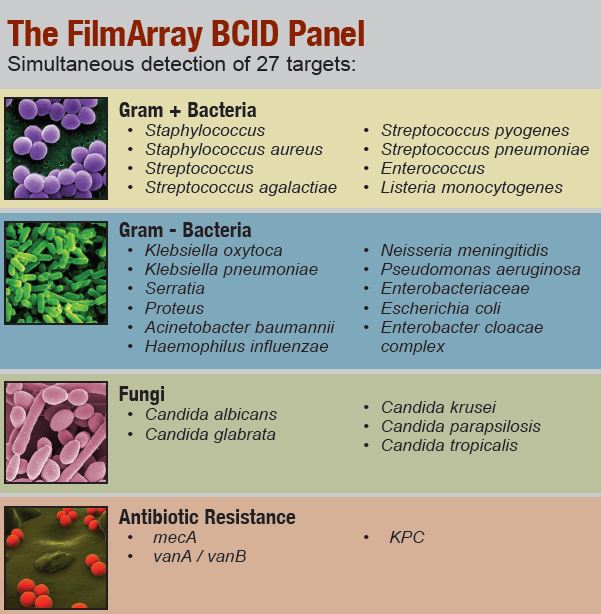 Medical Laboratory and Biomedical Science: Blood Culture Panel ...