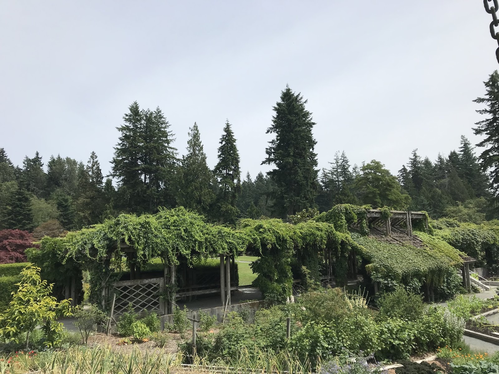 Tree Walk at UBC Botanical Garden - Vancouver - chichicho~
