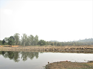 Kori dam kota bilaspur chhattisgarh | ghongha dam kota bilaspur ...