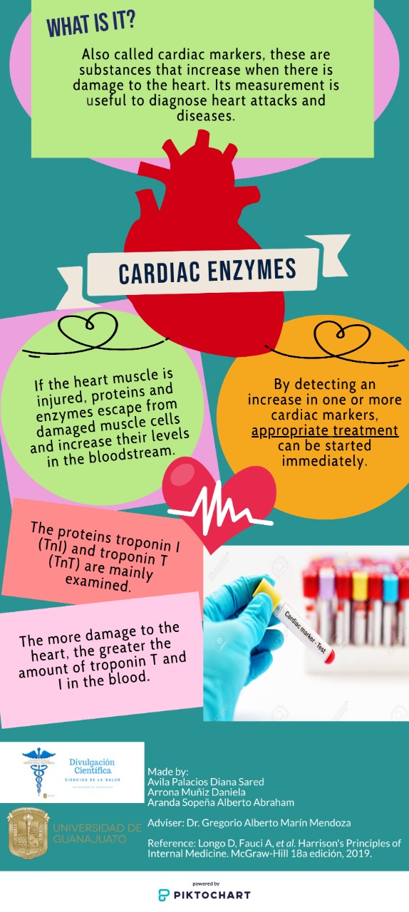 Cardiac enzymes. - DIVULGACIÓN CIENTÍFICA UG