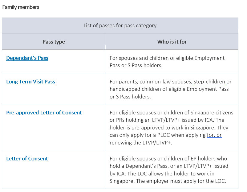 Types of Passes for entry to Singapore : Explained - TheWackyDuo.com ...