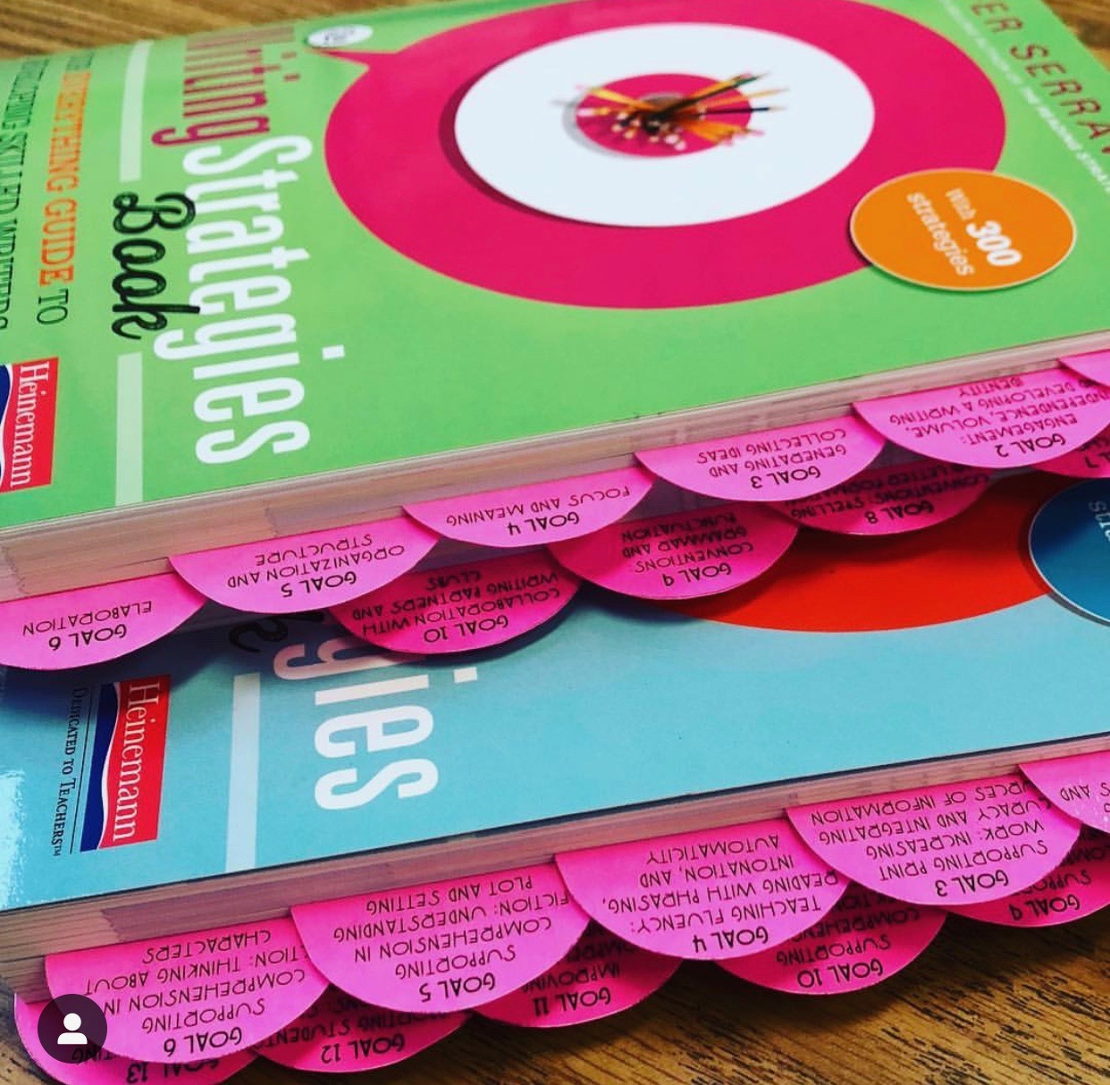 Book Review The Reading Strategies Book School And The City book-review-the-reading-strategies-book-school-and-the-city