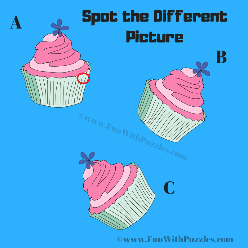 Eye Test Visual Puzzle: Spot the Odd One Out Mince Pie