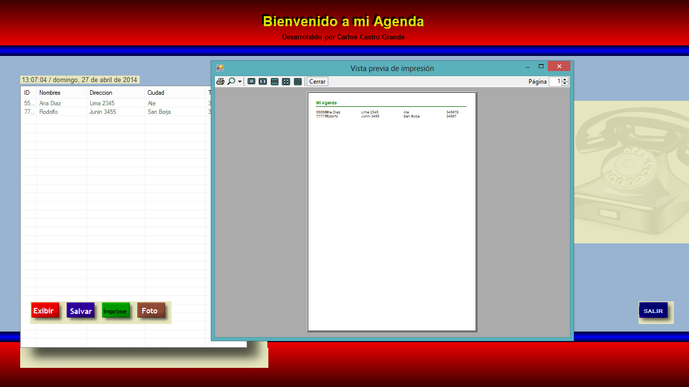 Programando con Visual Basic.Net 2019: Agenda con efectos especiales y ...