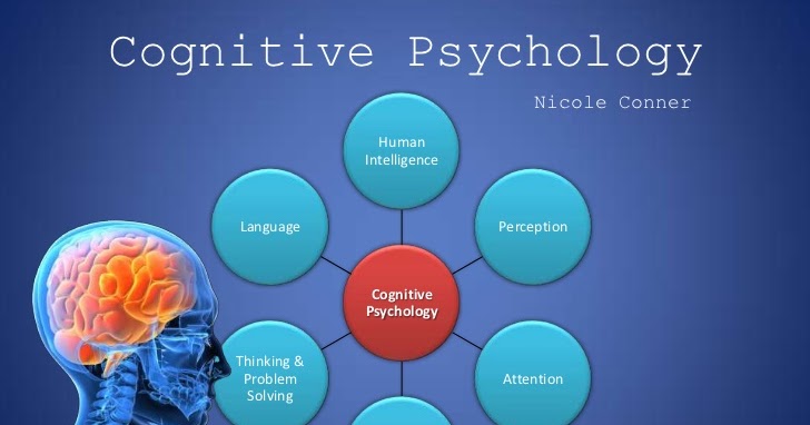 A Psychologist Guide: An Introduction to Cognitive Psychology