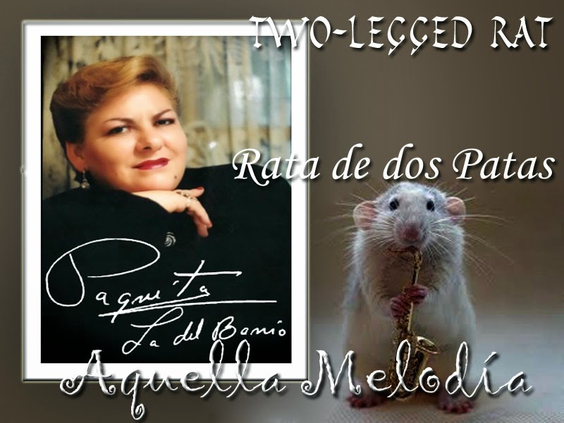 aquella melodía: Rata de dos Patas - Paquita la del Barrio