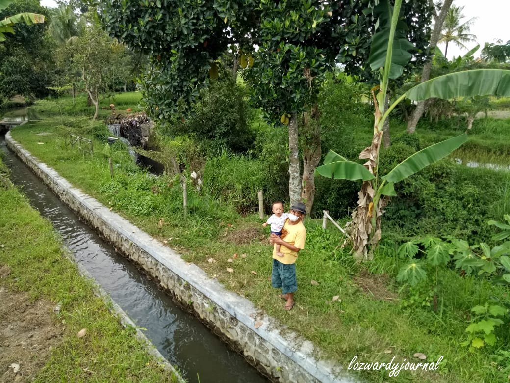 Rasa Gak Mengecewakan : Lesehan Unram Farming Narmada ~ Lazwardy Journal