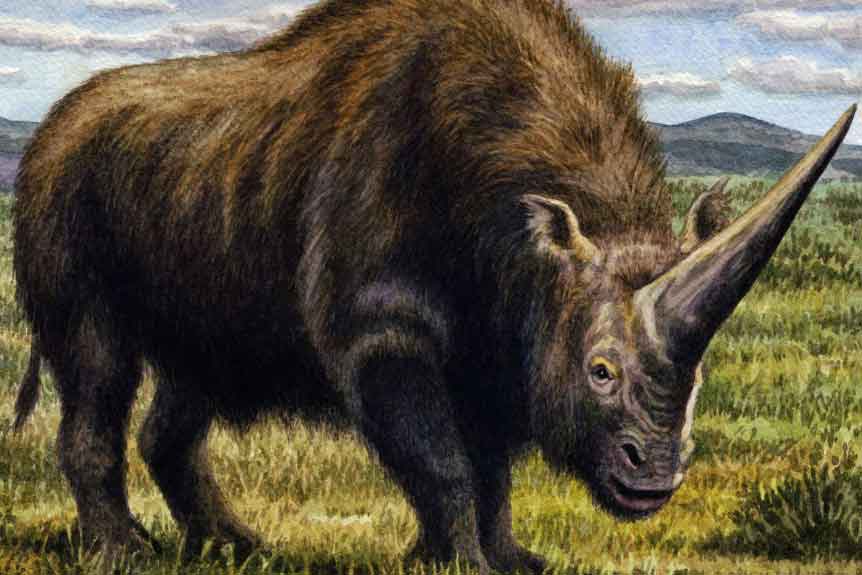 Mitoslavia: Kryptozoologia o pochodzeniu jednorożców