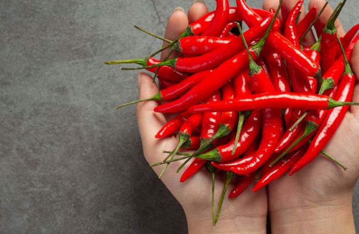 5 Manfaat Cabai dalam Masakan dan Bagi Kesehatan