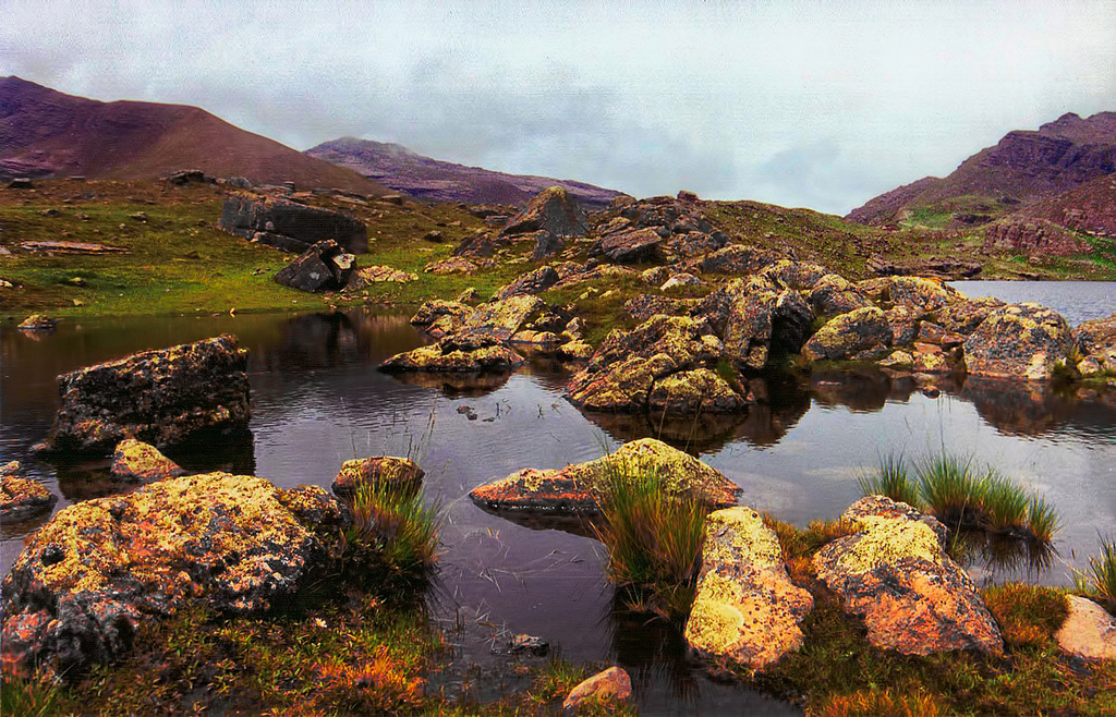 SOMOS EL CORAZÓN DE AMÉRICA DEL SUR.: PARQUES NACIONALES DE BOLIVIA ...