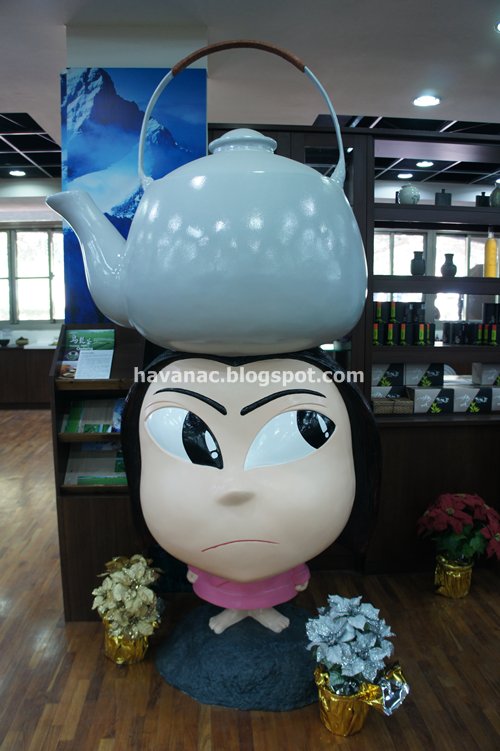 Havana QQ Travel Blog: Sun Moon Lake & Puli