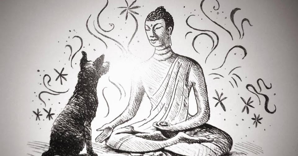 POR AMOR Y PARA AMAR: Buda antes de su muerte y como el perro forma ...