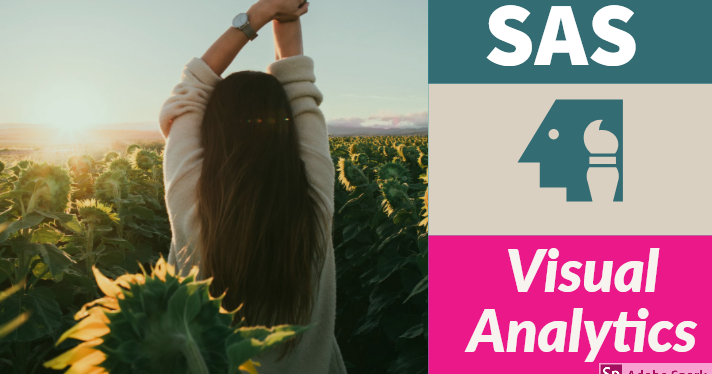 Beginner's Tutorial on SaS Visual Analytics