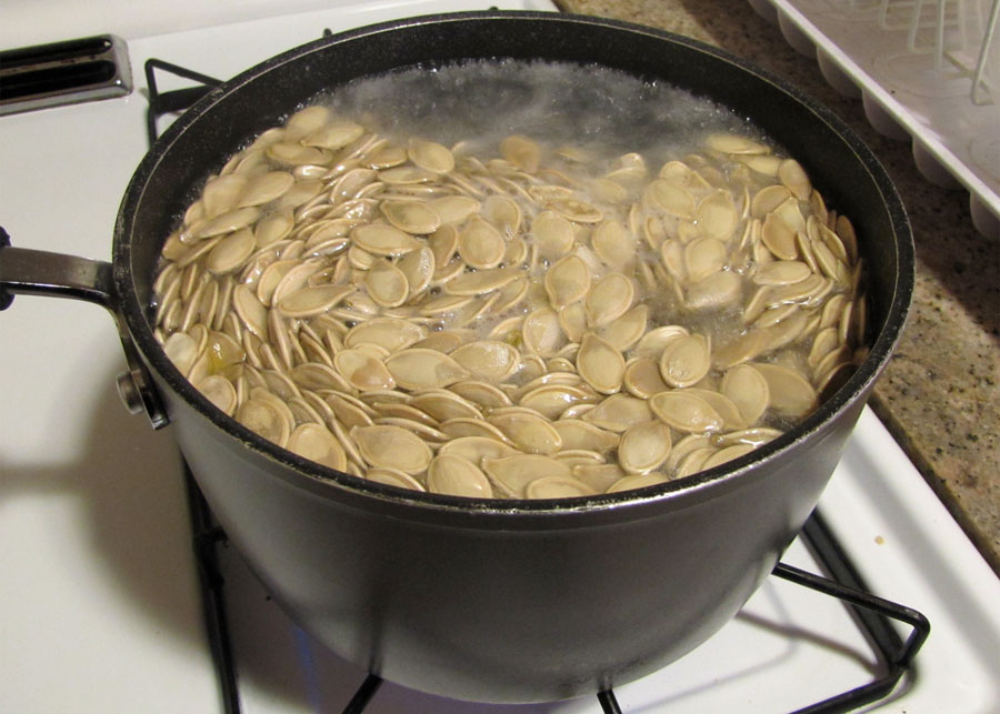 Smells Like Food in Here: Roasted Pumpkin Seeds