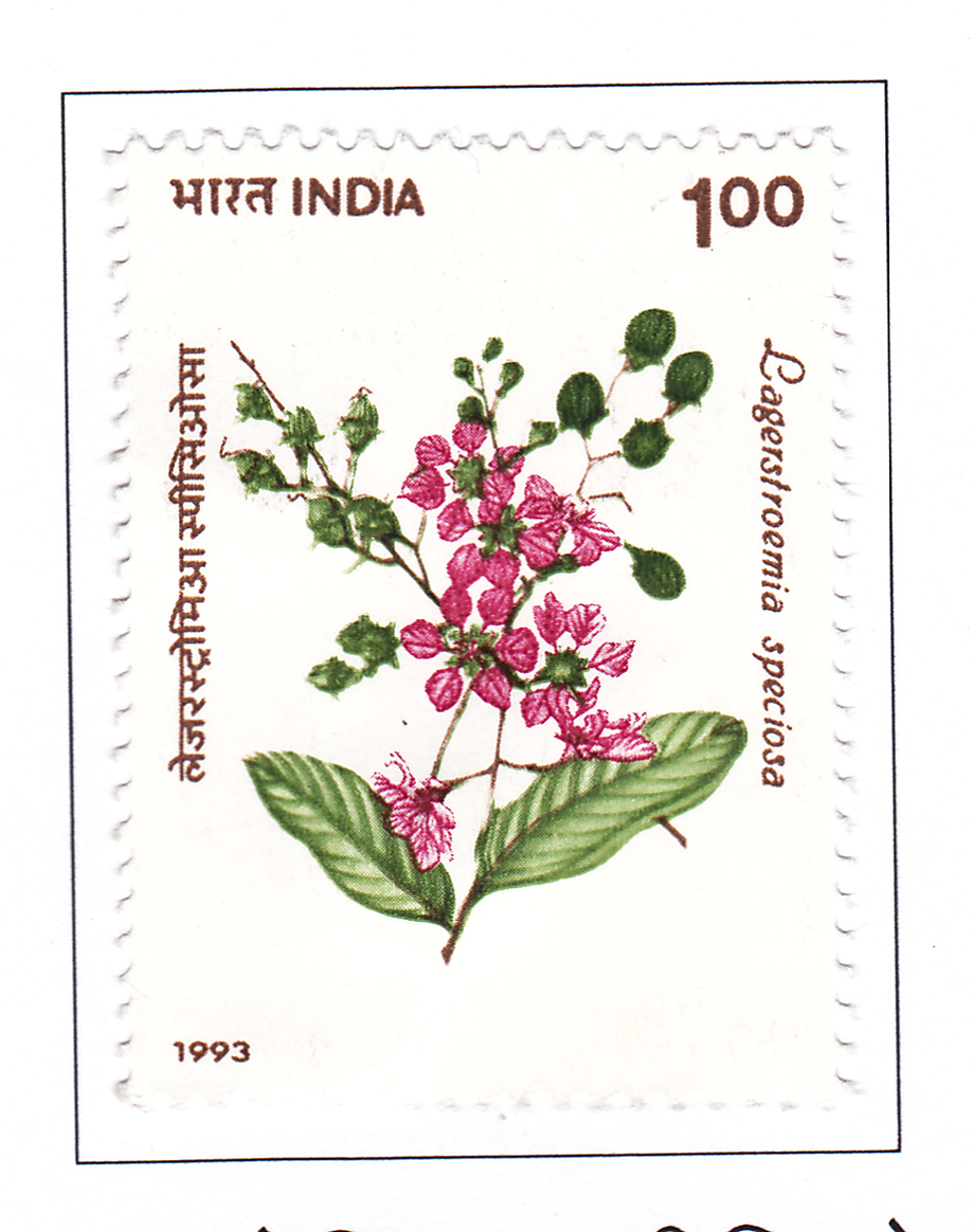 coins and more: 1597) "Flowers & Trees", Nature Through India Postage ...