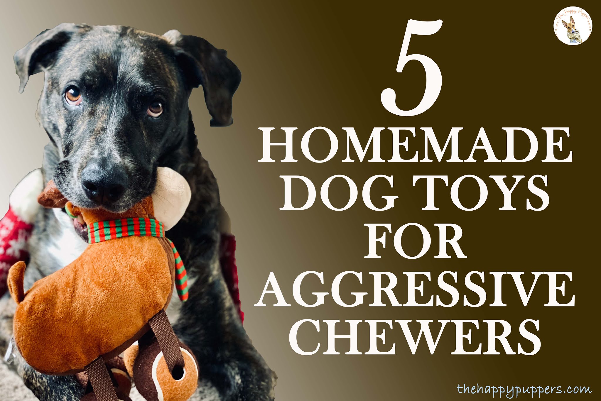 The 5 Easiest HOMEMADE DOG TOYS For Aggressive Chewers The Happy Puppers the-5-easiest-homemade-dog-toys-for-aggressive-chewers-the-happy-puppers