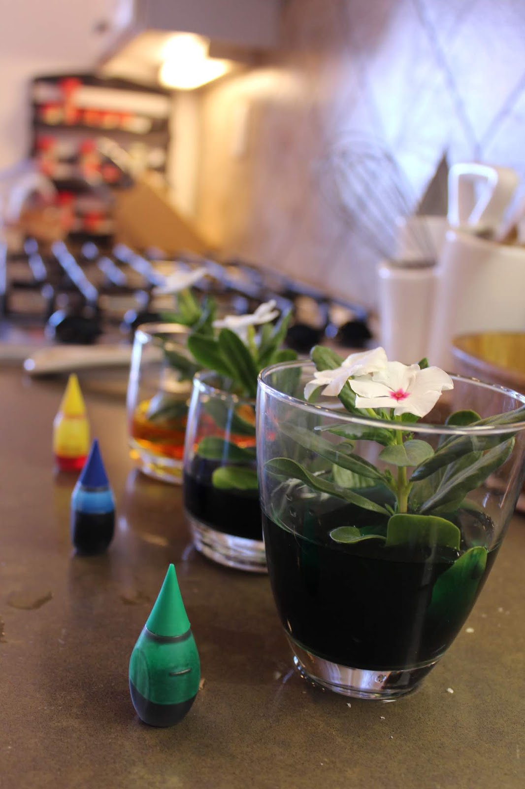 3 Easy No-Prep Preschool Science Experiments