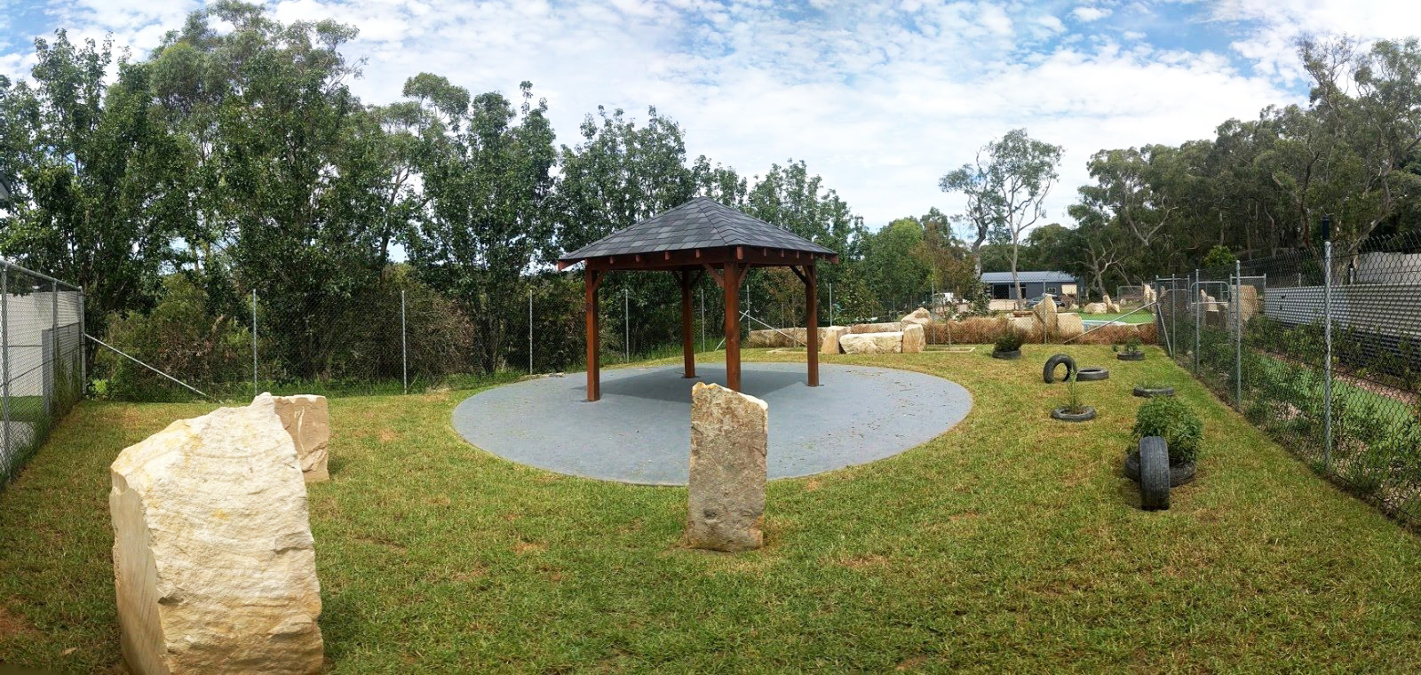 Feline Holiday Experience: a Sensory Delight at Calabash Kennels and ...