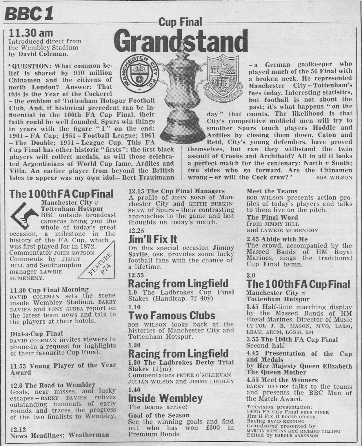 Random Gubbins: A View from the Grandstand