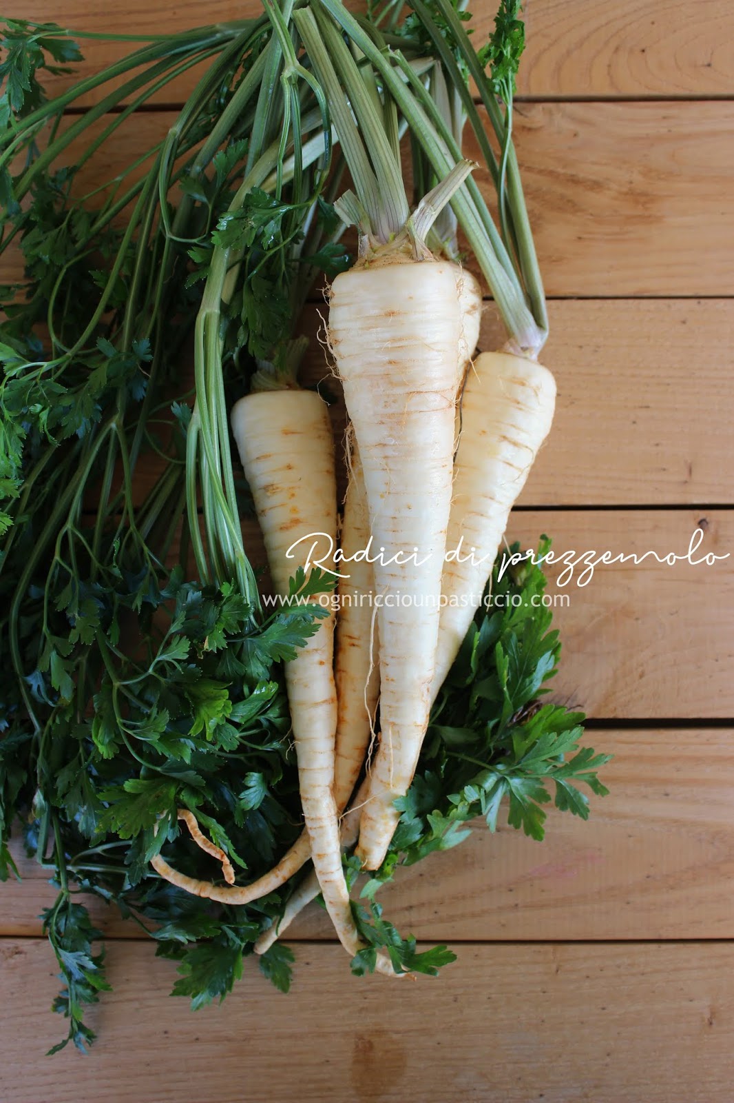 Ogni riccio un pasticcio - Blog di cucina: TUTTO sulle Radici del ...