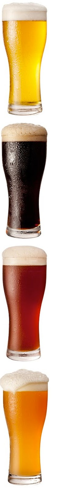 Siebert Realty Sandbridge Beach Virginia Beach Rentals VA Vacation ...