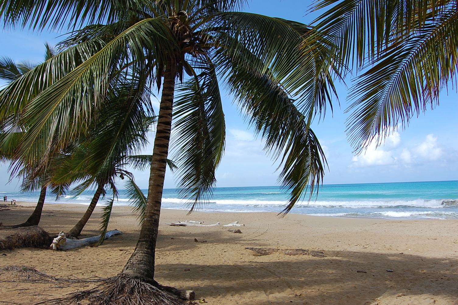 Samana Living: Great Beaches - Playa Coson, Las Terrenas