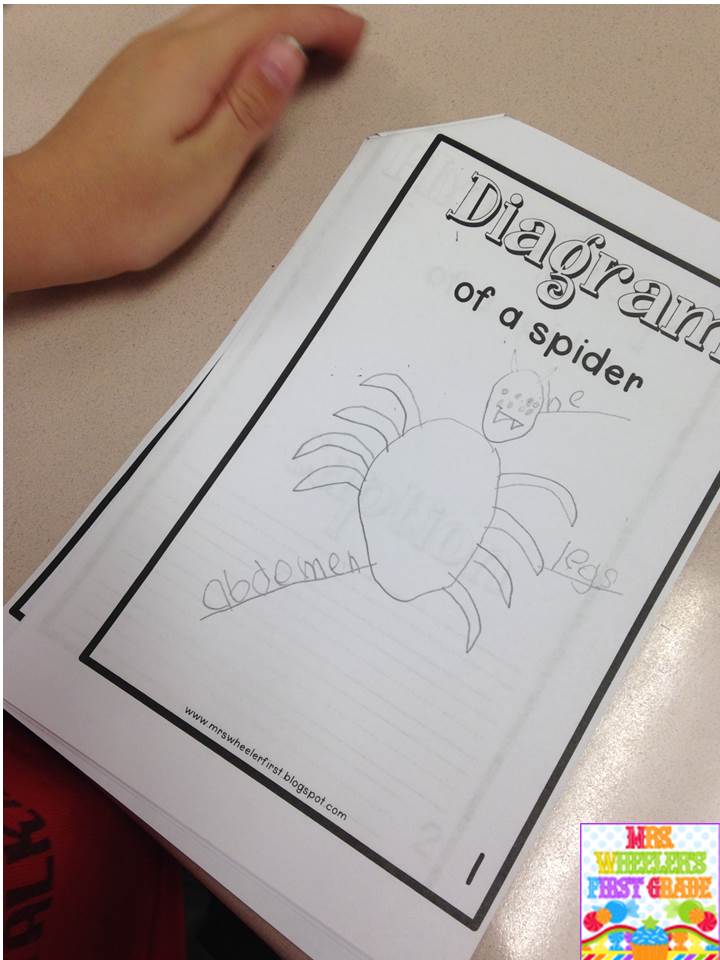 Mrs. Wheeler's First Grade Tidbits: Spider Freebies