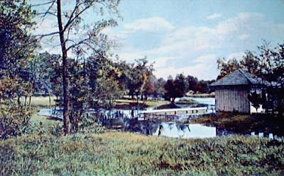 OAK CLIFF yesterday: Kidd Springs Park