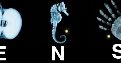 Fringe Glyph Code 510: "Anomaly XB-6783746" ~ Fringe Television - Fan ...