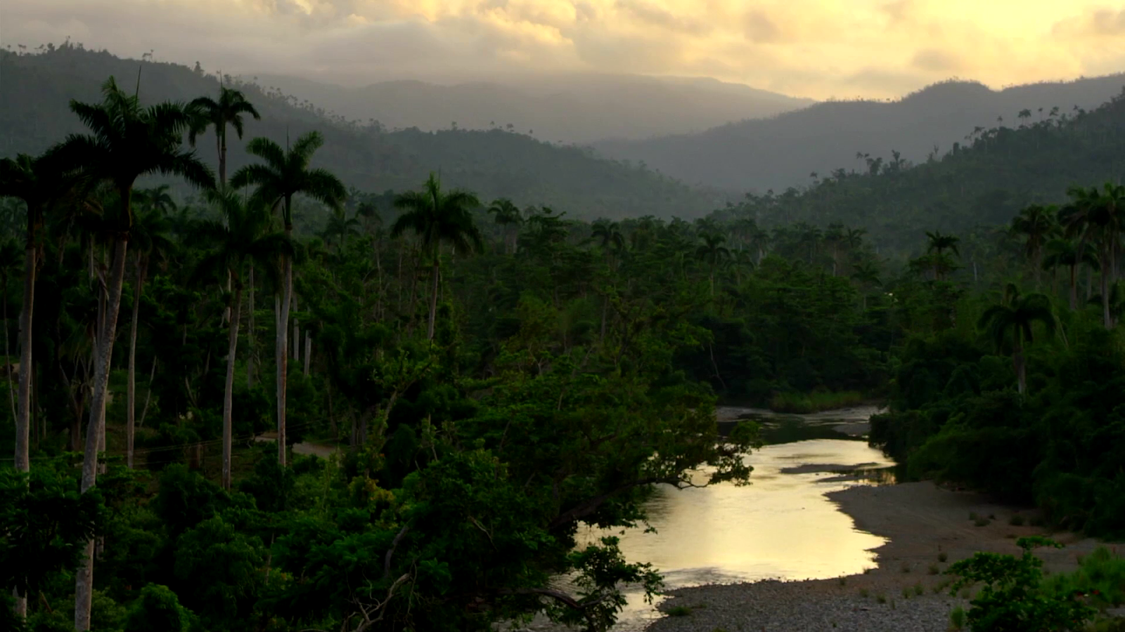 Asadal: BBC Natural World: Wild Cuba A Caribbean Journey Part 2 (2020)
