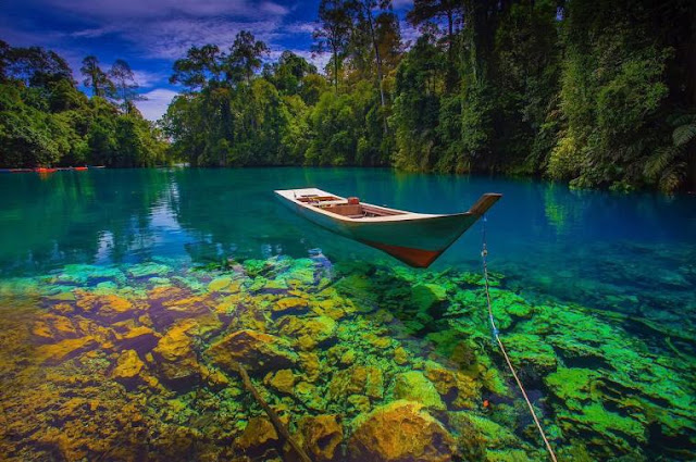 The Beauty Landscape of Indonesia: Labuan Cermin, The Magic of the Blue ...