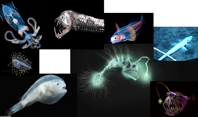 BA7: Design Document: Dragons concepts