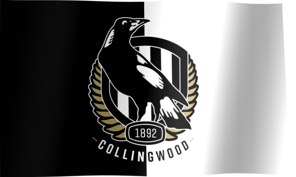 Collingwood Football Club Fan Flag (GIF) - All Waving Flags