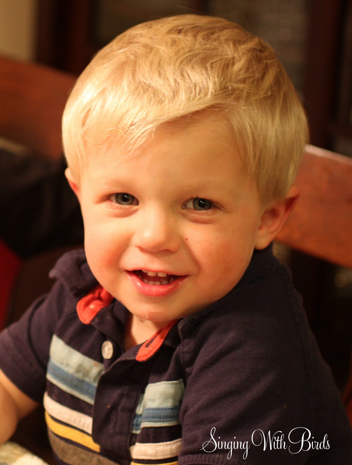Pantry Carousels = Perfection - Cheery Kitchen