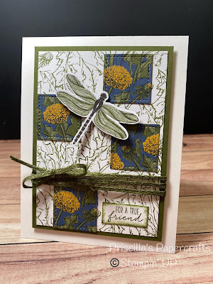 Priscilla's Papercrafts: Dragonfly Spotlight