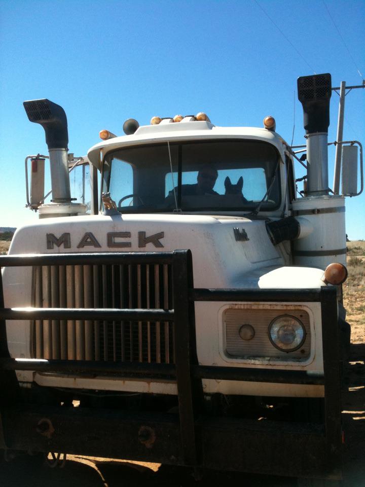 SERIZ: MAD MAX - CAR REPLICAS 6 - LE CAMION MACK