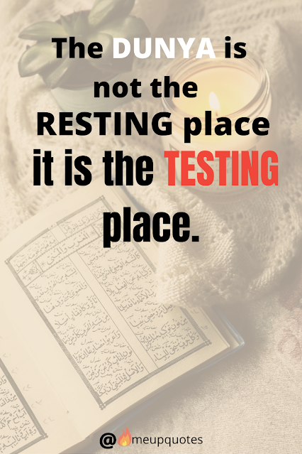 35+ Best Islamic Quotes To Inspire You And Motivate you In Life.